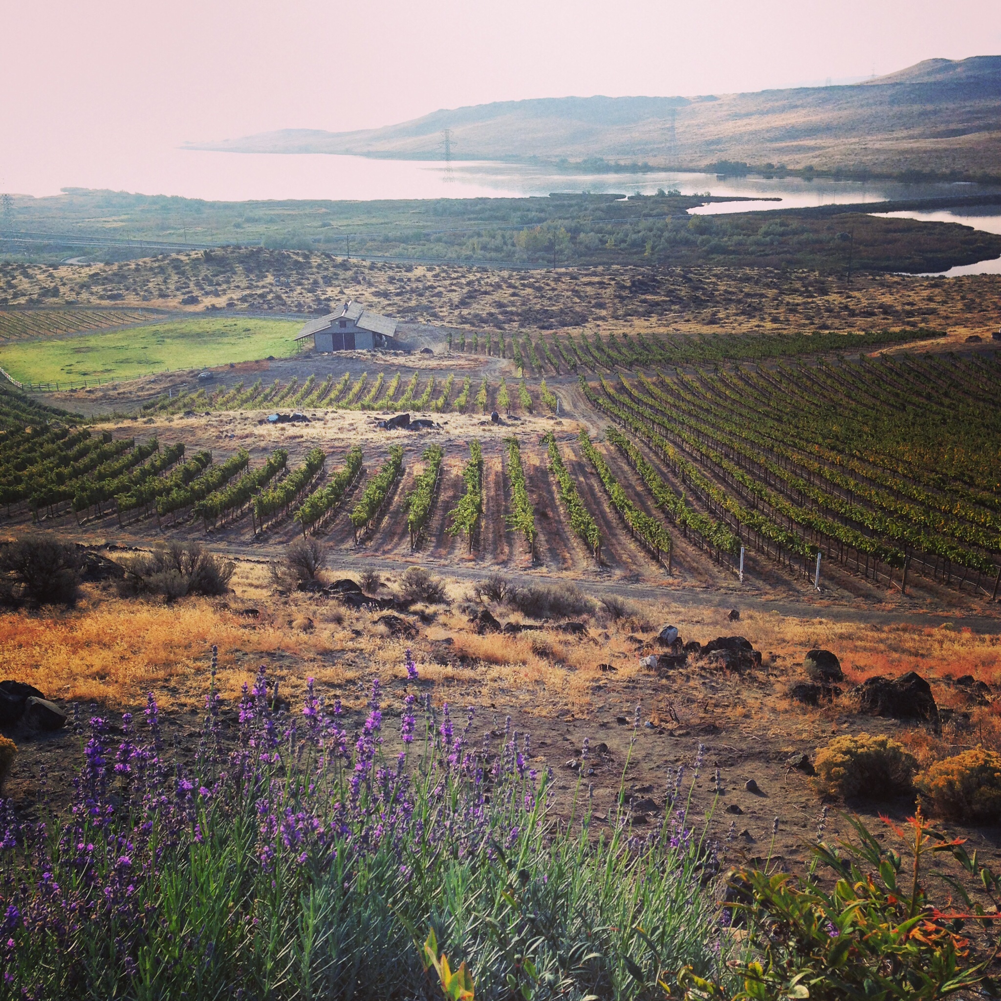 A Weekend to Remember in Prosser, Washington | Sacred Drop
